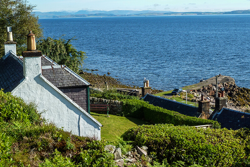 Gallery - Welcome to Bluebell